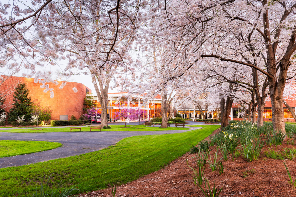 Learning Institutions - Elevation Outdoors